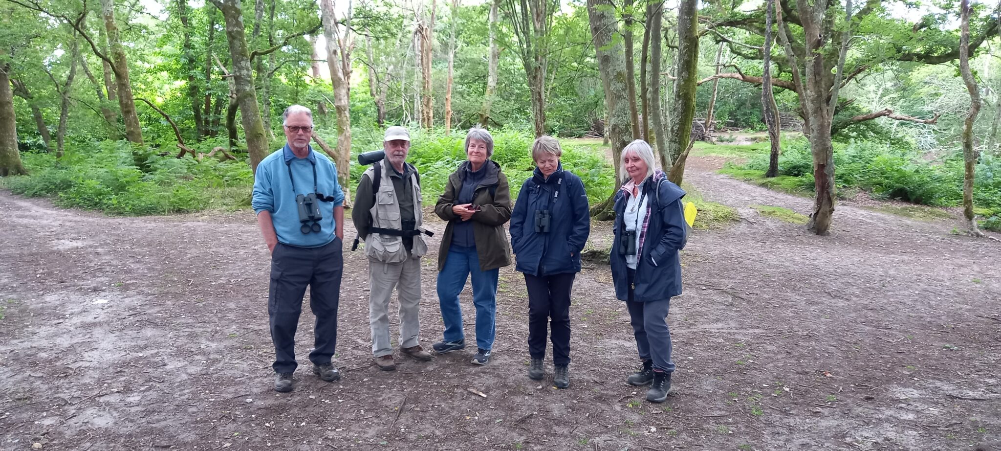 Trip to Iping Common & Pulborough Brooks 10 June 2024 – Henfield Birdwatch